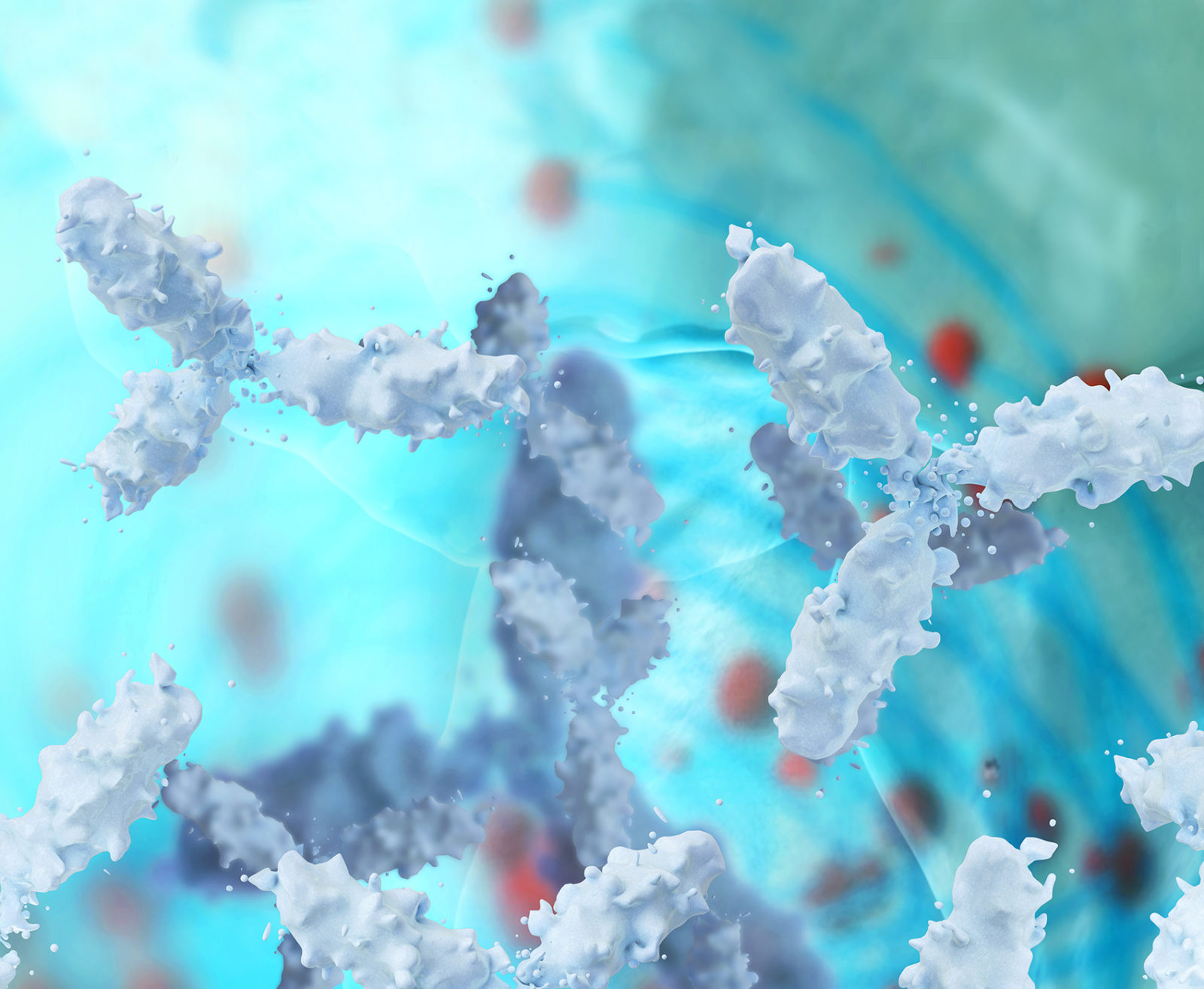 Abzyme Therapeutic – Impacting the research, diagnosis and treatment of ...